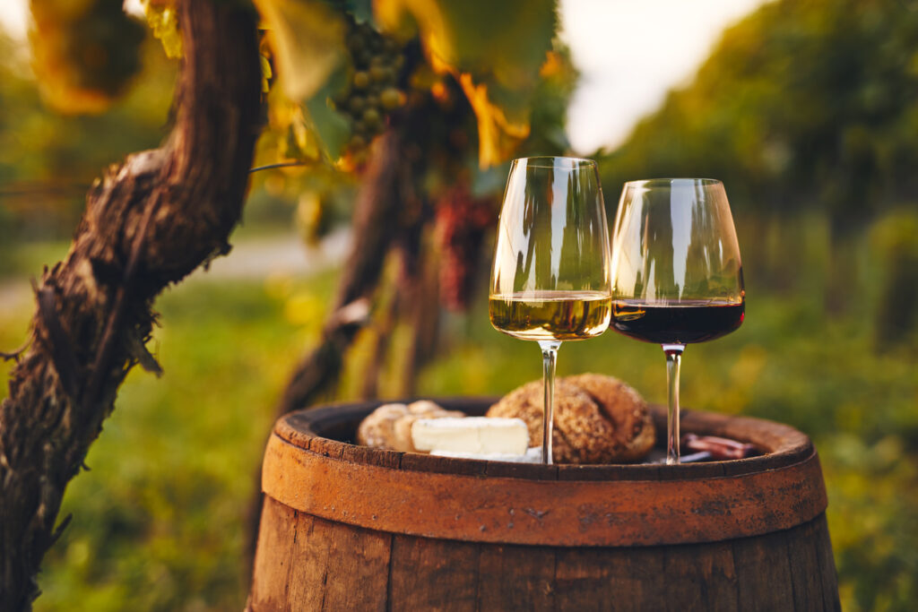 Michigan Wine Country Bachelorette Weekend | Nearlywed